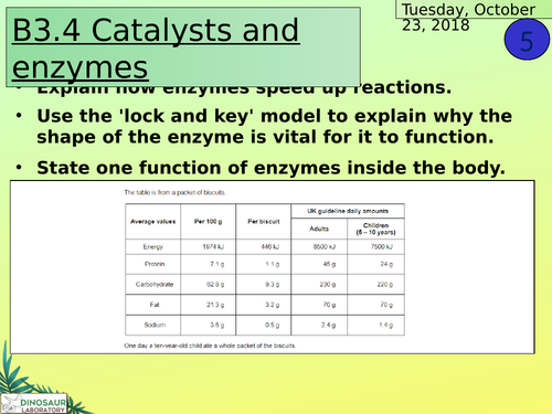 Catalysts and Enzymes | Teaching Resources