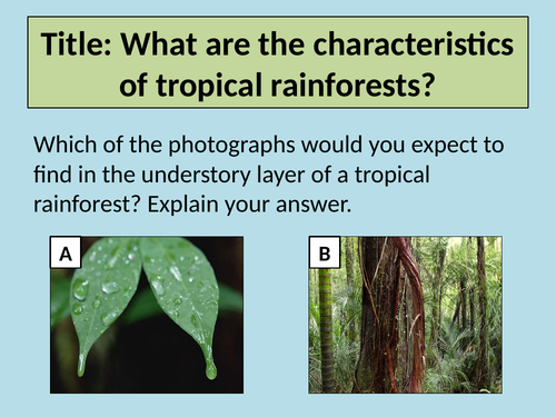 Characteristics of tropical rainforests | Teaching Resources