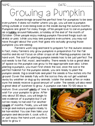 Leveled Text O: Growing a Pumpkin | Teaching Resources