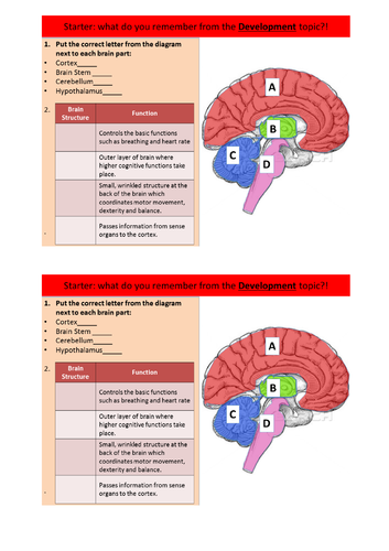 BRAIN AND NEUROPSYCHOLOGY TOPIC - AQA GCSE PSYCHOLOGY (9-1) | Teaching ...