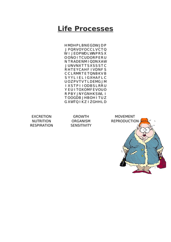 7A Word Search Bundle | Teaching Resources