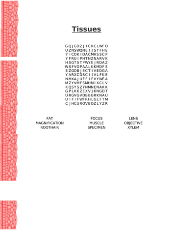 7A Word Search Bundle | Teaching Resources