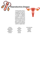 Reproductive Organs Word Search | Teaching Resources
