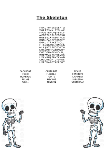 The Skeleton Word Search | Teaching Resources