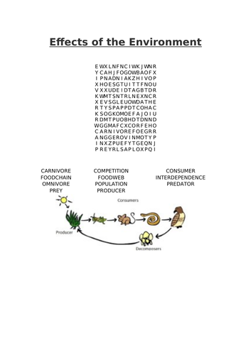 7D Word Search Bundle | Teaching Resources