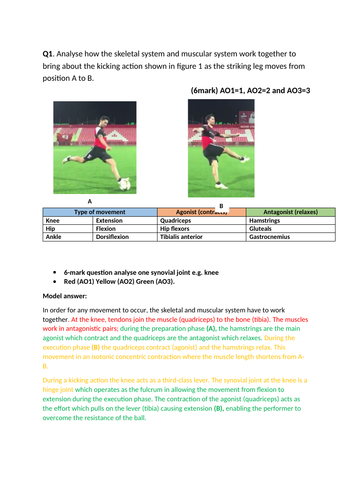 GCSE PE AO1-AO3 Long answer question templates | Teaching Resources
