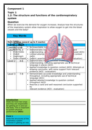 GCSE PE - Edexcel (9-1) - Structure Strip -Structures of the ...