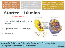IB Biology SL Unit 1 Cell Theory | Teaching Resources