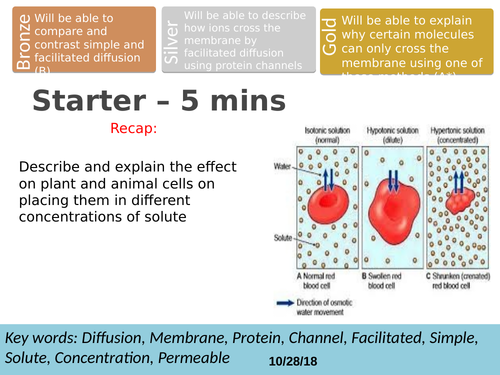 IB Biology SL Unit 1 Diffusion and Facilitated Diffusion | Teaching Resources