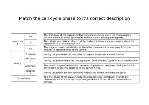 IB Biology SL Unit 1 Cell Cycle and Cancer | Teaching Resources