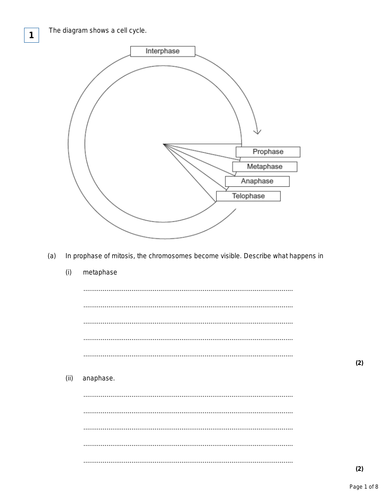 IB Biology SL Unit 1 Cell Cycle and Cancer | Teaching Resources