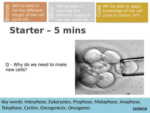 IB Biology SL Unit 1 Cell Cycle and Cancer | Teaching Resources