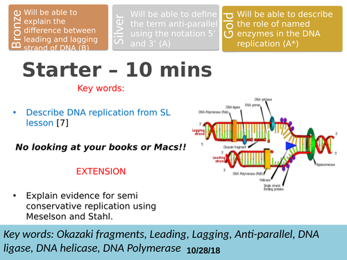 IB Biology HL Unit 7 DNA Replication | Teaching Resources