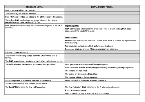 IB Biology HL Unit 7 - Transcription and Translation | Teaching Resources