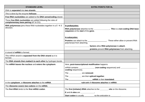 IB Biology HL Unit 7 - Transcription and Translation | Teaching Resources