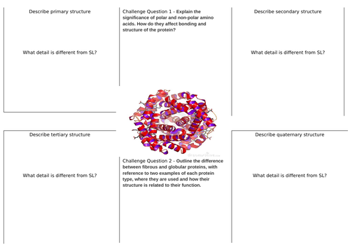 IB Biology HL Unit 7 Protein Structure | Teaching Resources