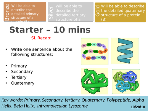 IB Biology HL Unit 7 Protein Structure | Teaching Resources
