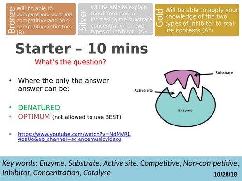 IB Biology HL Unit 7 Enzymes | Teaching Resources