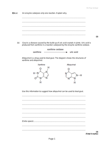 IB Biology HL Unit 7 Enzymes | Teaching Resources