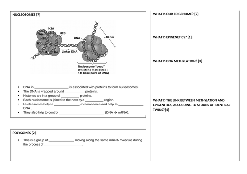 IB Biology HL Unit 7 Nucleosomes, Epigenetics and DNA methylation ...