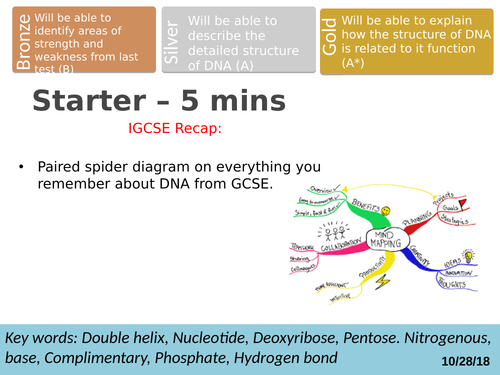 IB Biology SL Unit 2 DNA Structure | Teaching Resources