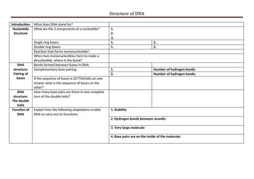 IB Biology SL Unit 2 DNA Structure | Teaching Resources