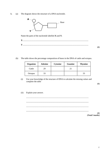 IB Biology SL Unit 2 DNA Structure | Teaching Resources