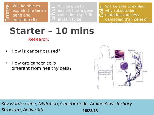 IB Biology SL Unit 2 - Mutations | Teaching Resources