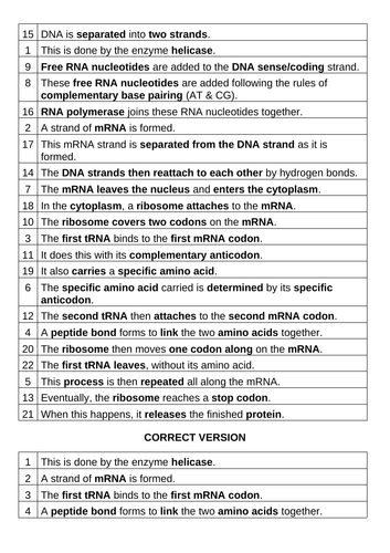 IB Biology SL Unit 2 - Transcription and translation | Teaching Resources