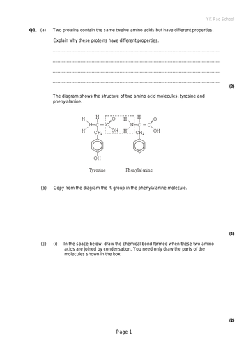 IB Biology SL Unit 2 - Proteins | Teaching Resources