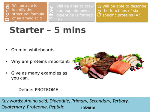 IB Biology SL Unit 2 - Proteins | Teaching Resources