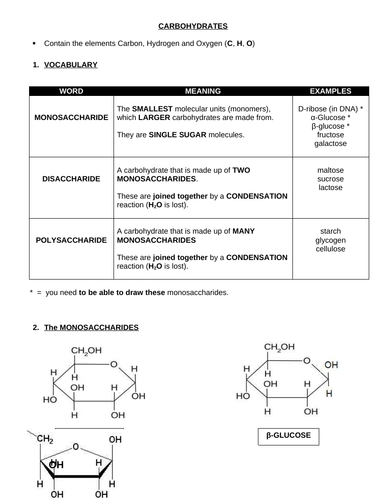 IB Biology SL Unit 2 - Carbohydrates | Teaching Resources
