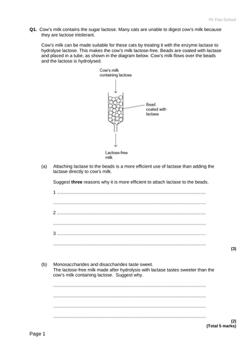 IB Biology SL Unit 2 - Immobilised Enzymes and Lactose free milk ...