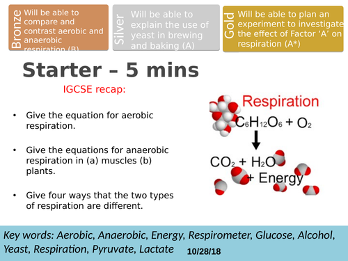 IB Biology SL Unit 2 - Respiration and brewing | Teaching Resources