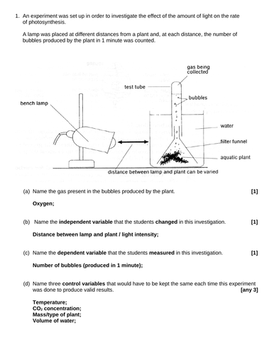 IB Biology SL Unit 2 - Photosynthesis | Teaching Resources