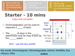 IB Biology SL Unit 2 - Chromatography | Teaching Resources