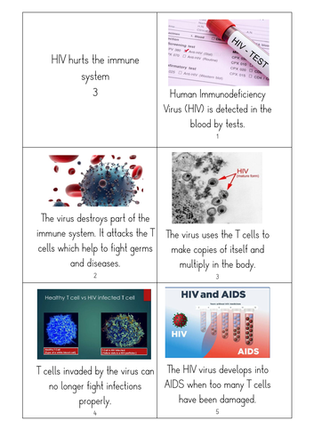 HIV Hurts the Immune System - Level 3 | Teaching Resources