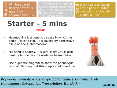 IB Biology SL unit 3 - Codominance and sickle cell anemia | Teaching ...