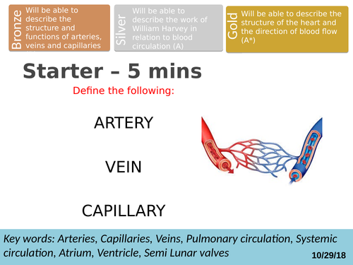 IB Biology SL Unit 6 - Cardiovascular system, blood vessels and heart ...