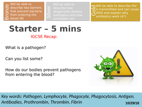 IB Biology SL Unit 6 - Defence against infectious disease, antibodies ...