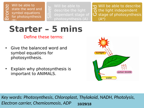 IB Biology HL Unit 8 - Photosynthesis | Teaching Resources