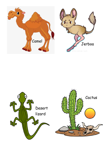 Plant and animal adaptations to desert | Teaching Resources
