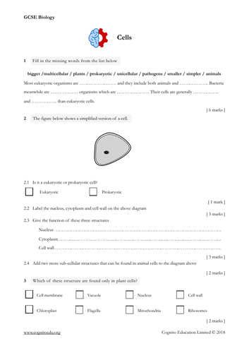 Magna Cell Student Worksheets