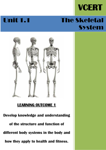 Level 1/2 Health and Fitness Skeletal System Unit of Work | Teaching ...