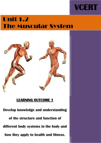 Level 1/2 Health and Fitness Muscular System | Teaching Resources