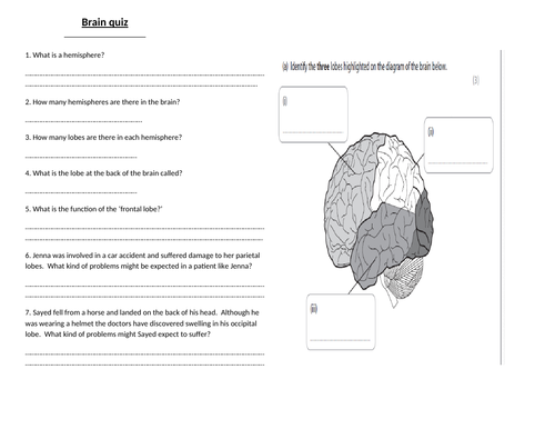 Edxecel 9-1 Psychology Topic 4 Brain and Neuropsychology | Teaching ...