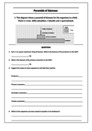 AQA GCSE 9-1 Ecology: Pyramids of Biomass | Teaching Resources