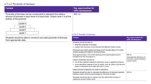 AQA GCSE 9-1 Ecology: Pyramids of Biomass | Teaching Resources