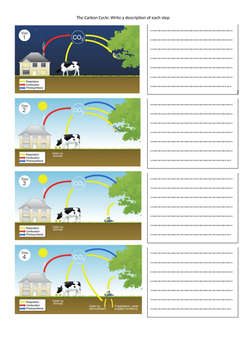 AQA GCSE 9-1 Ecology: The Carbon Cycle and The Water Cycles | Teaching ...