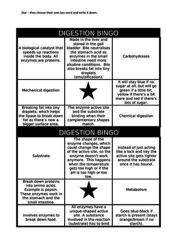 Digestion Bingo Cards | Teaching Resources